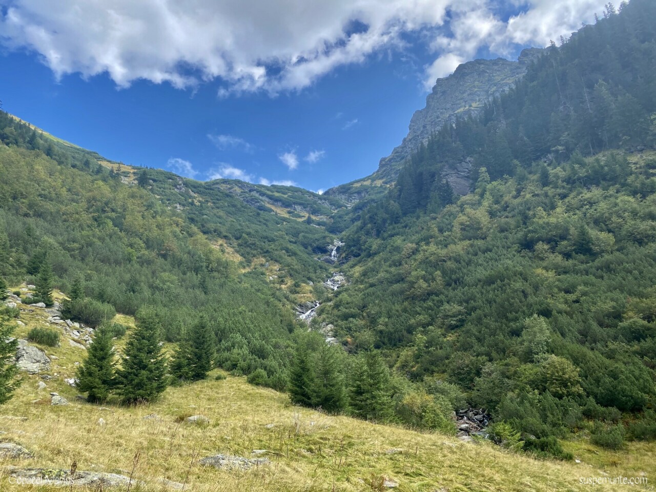 Traseu Piscul Negru - Vf. Negoiu: Piscul Negru - Lacul Caltun - Strunga ...